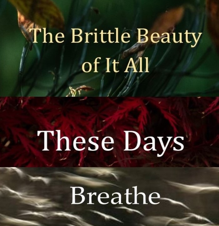 All Three E-books